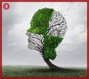 What Is DMT? Is It Dangerous? - Oxford Treatment Center